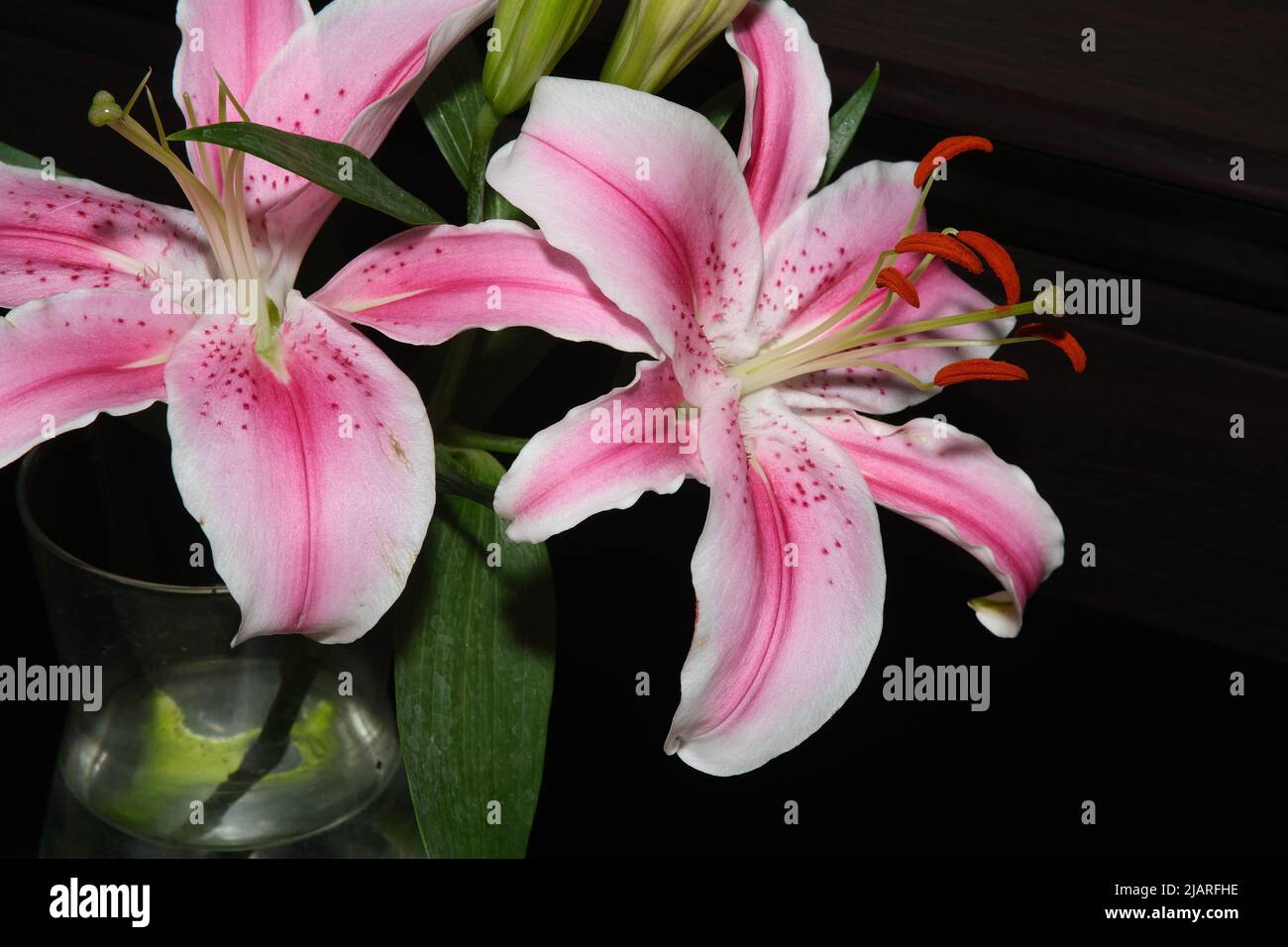 Flowers and bess in the garden Stock Photo - Alamy