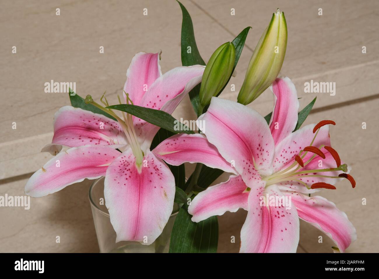 Flowers and bess in the garden Stock Photo - Alamy