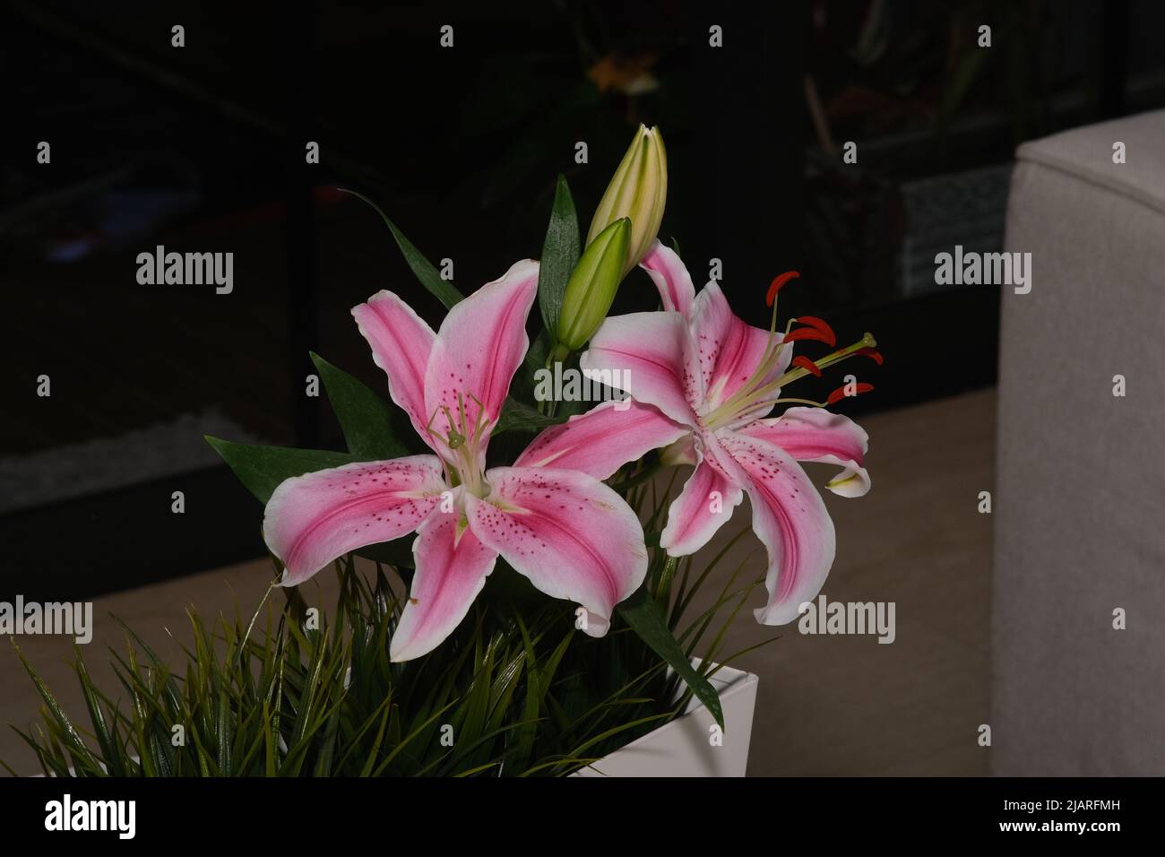 Flowers and bess in the garden Stock Photo - Alamy