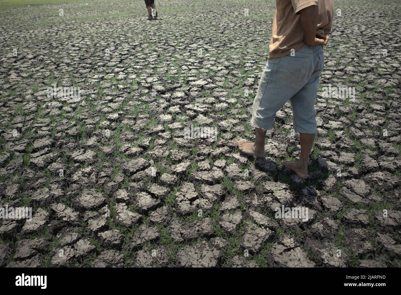 Land degradation desertification hi-res stock photography and images ...
