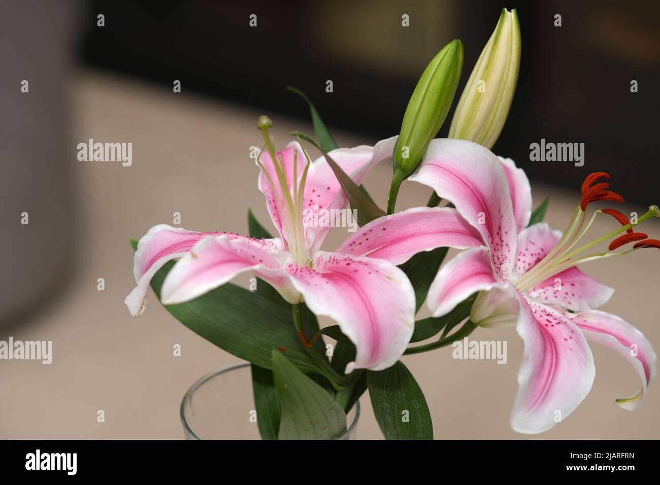 Flowers and bess in the garden Stock Photo - Alamy