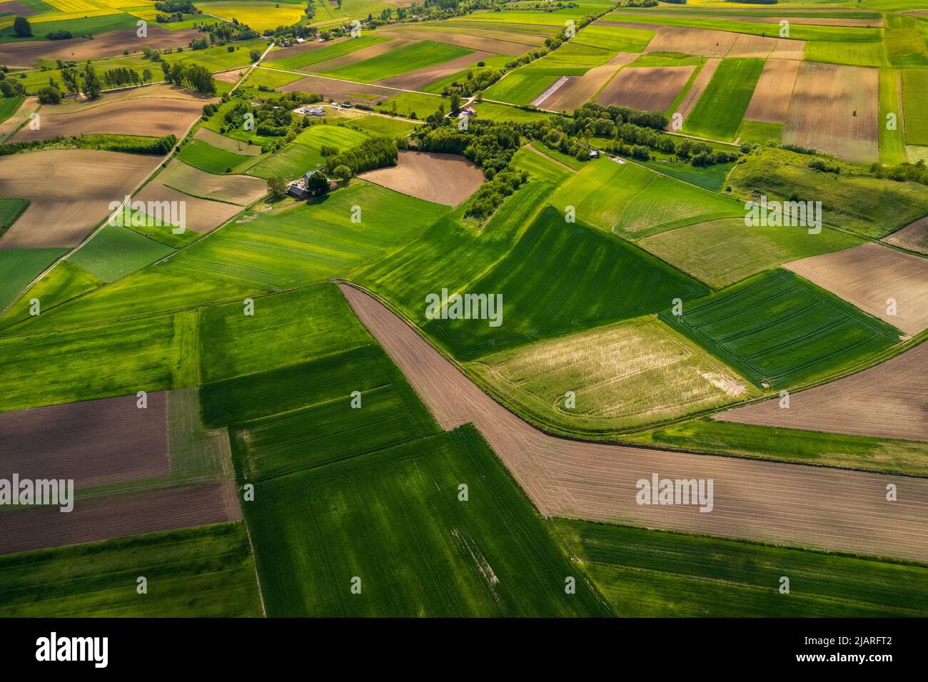 Colorful Lush Crop Fields in Rural Counrtyside Landscape. Aerial Drone ...