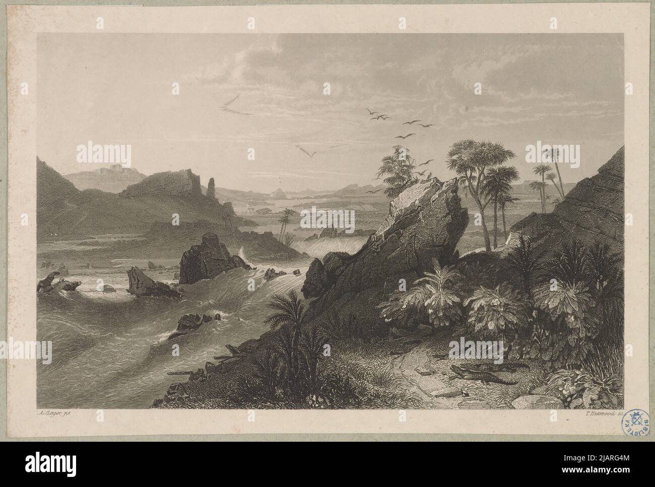 African landscape Heawood, Thomas (fl. 1850 1879), Geyer, Alexius Stock ...