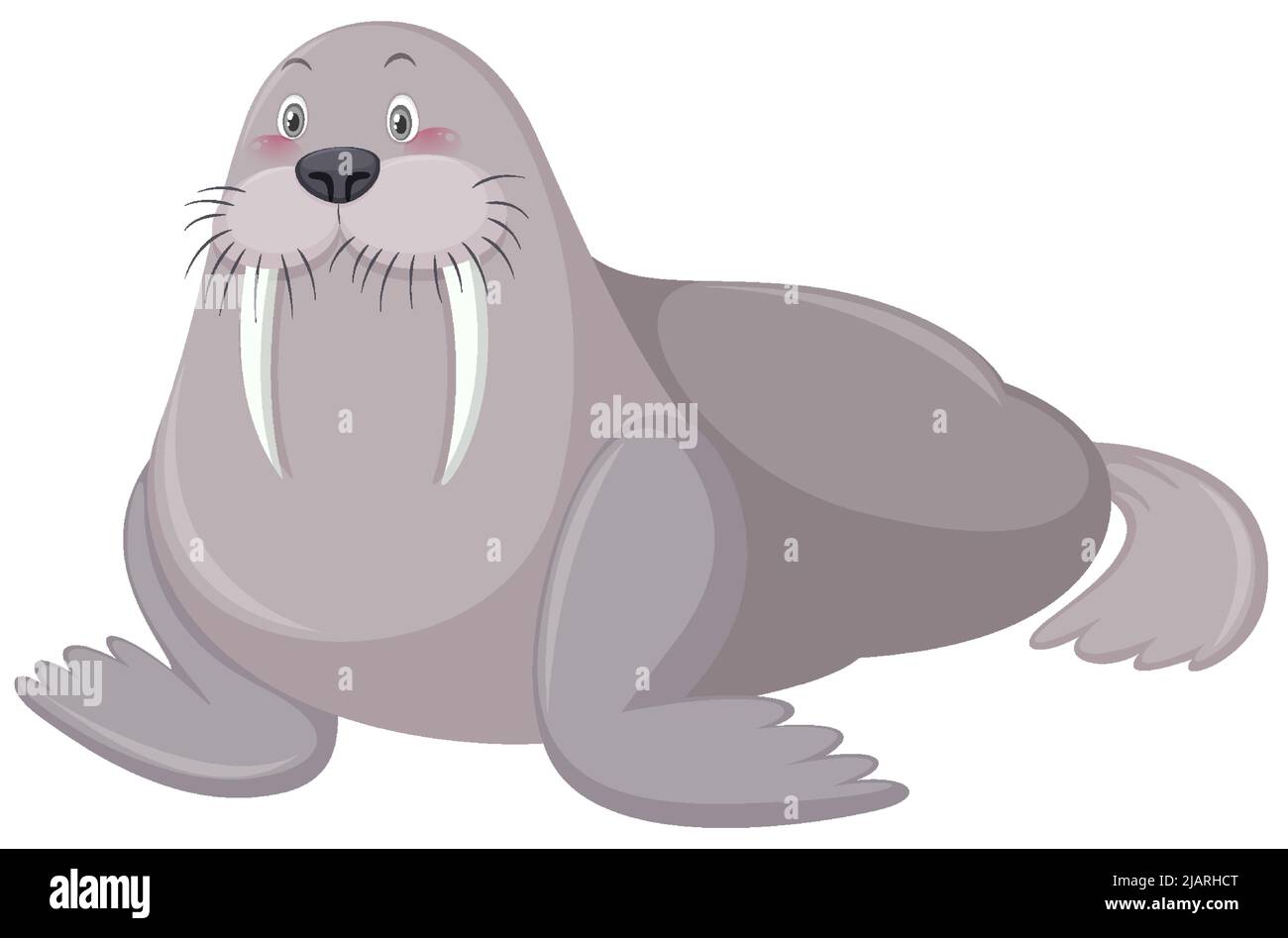 A grey walrus in cartoon style illustration Stock Vector Image & Art ...
