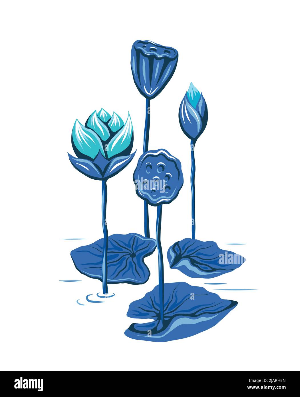 Blue Lotus Flower Clipart