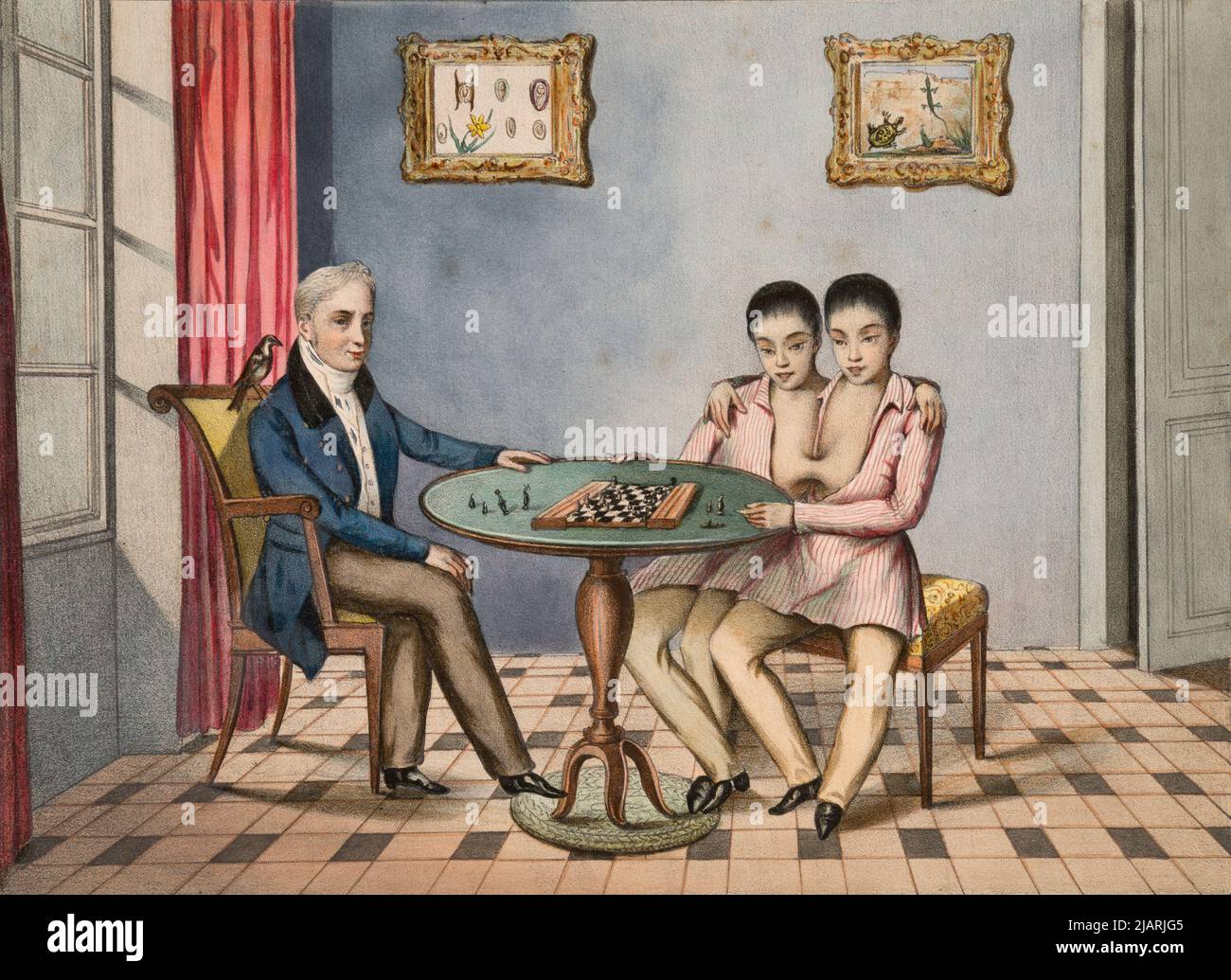 Theory of Resemblances / Theory of images Motte, Charles Etienne Pierre ...