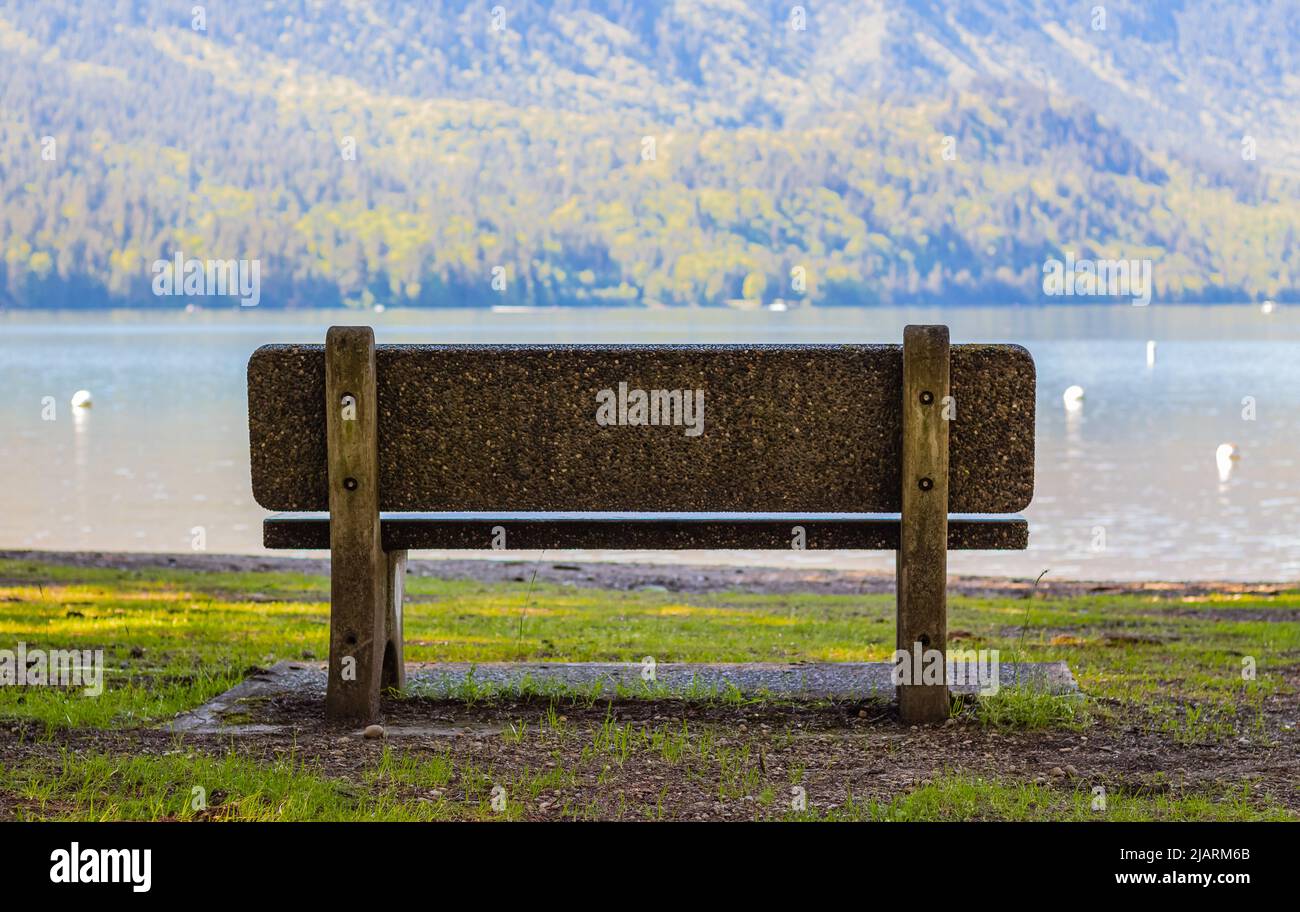 Bench in the summer park by the lake. Summer time in Canada. Street ...