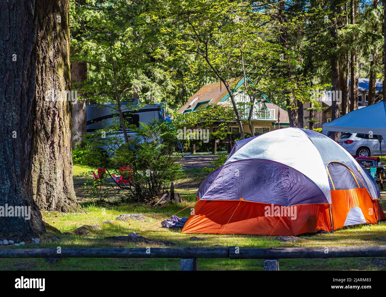 Amazing scene of campsite in the park with sun rays. Morning shadows ...