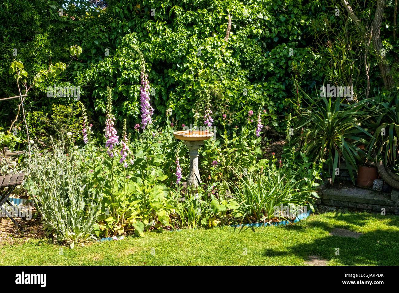English cottage garden in May Stock Photo - Alamy