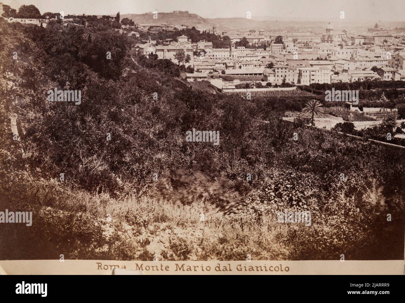 ROME Monte Mario and a panorama of the city Summer, Giorgio (Georg ...