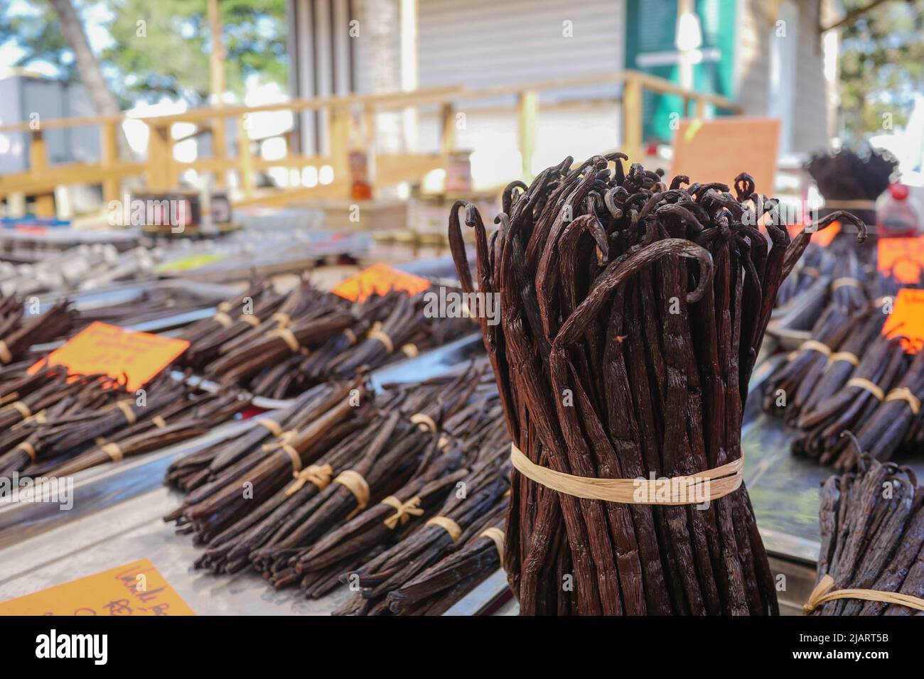 Real fresh vanilla from la reunion island madagascar vanille bourbon ...