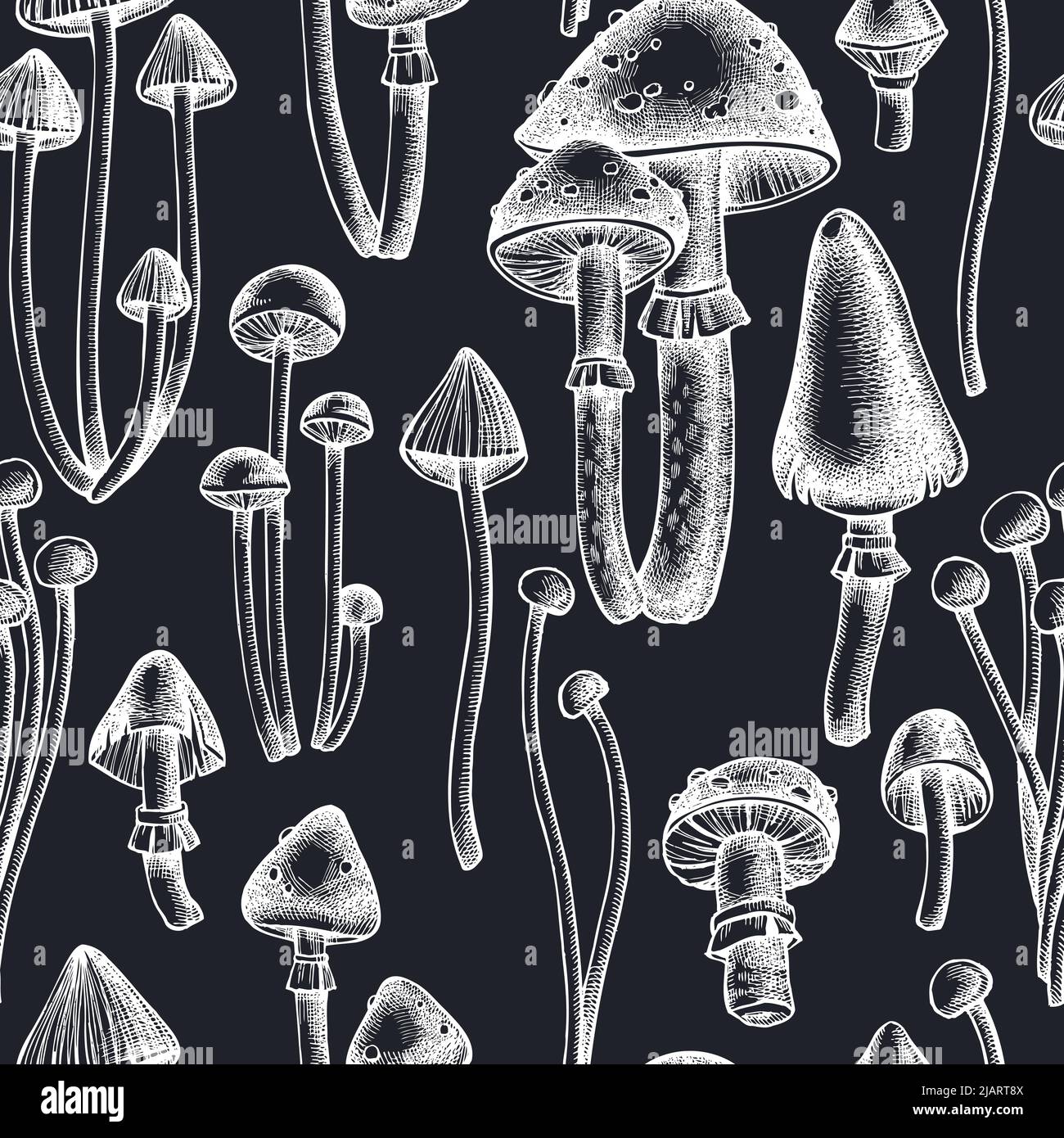 Forest mushrooms seamless pattern background design. Engraved style ...