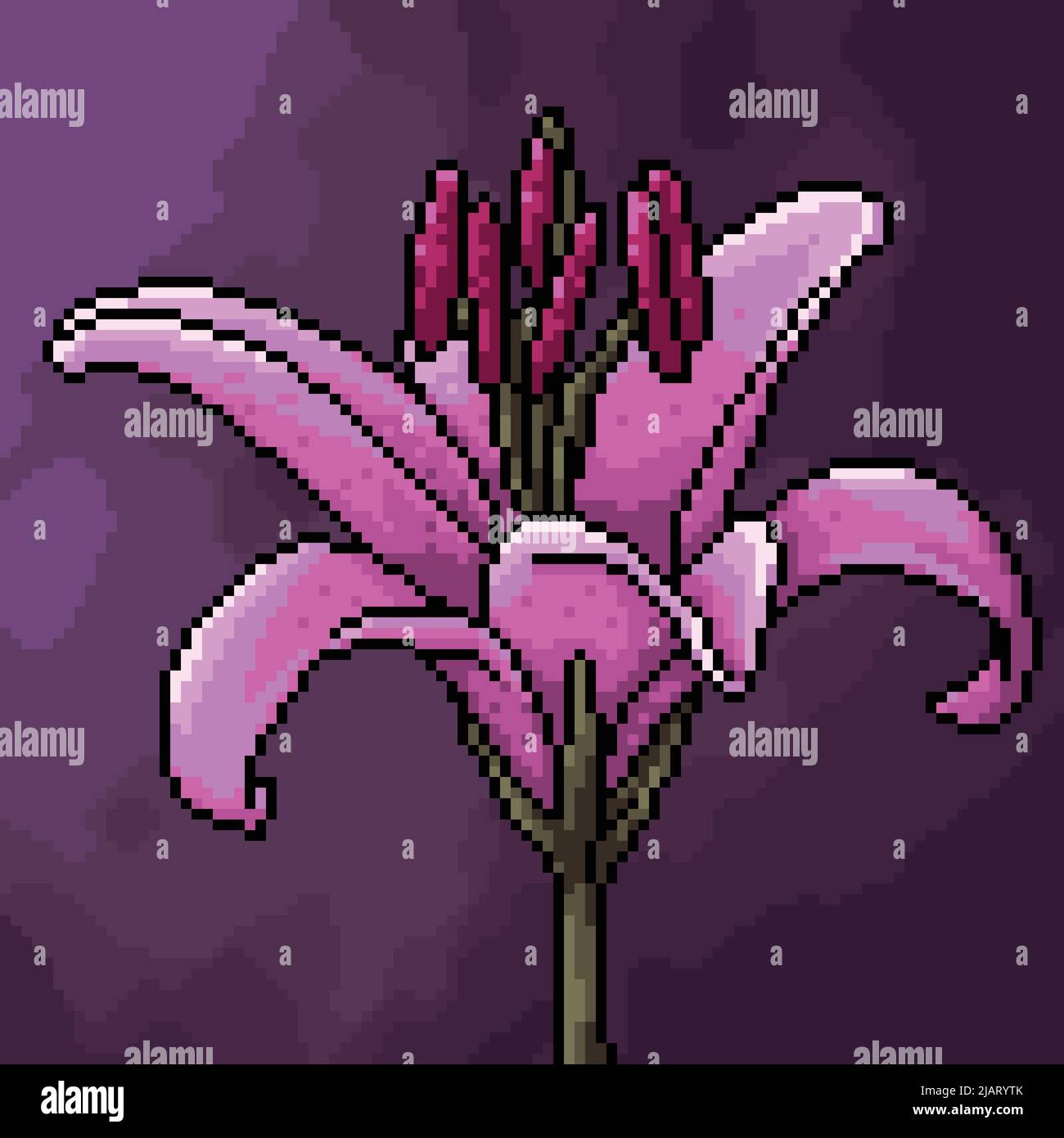Lily pollen flower Stock Vector Images - Alamy