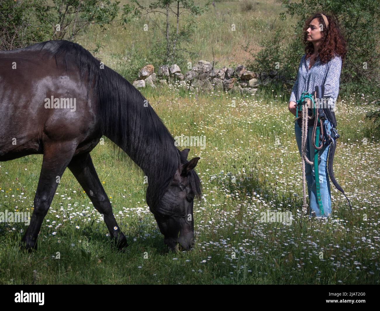 Thoroughbred horse owner hi-res stock photography and images - Alamy