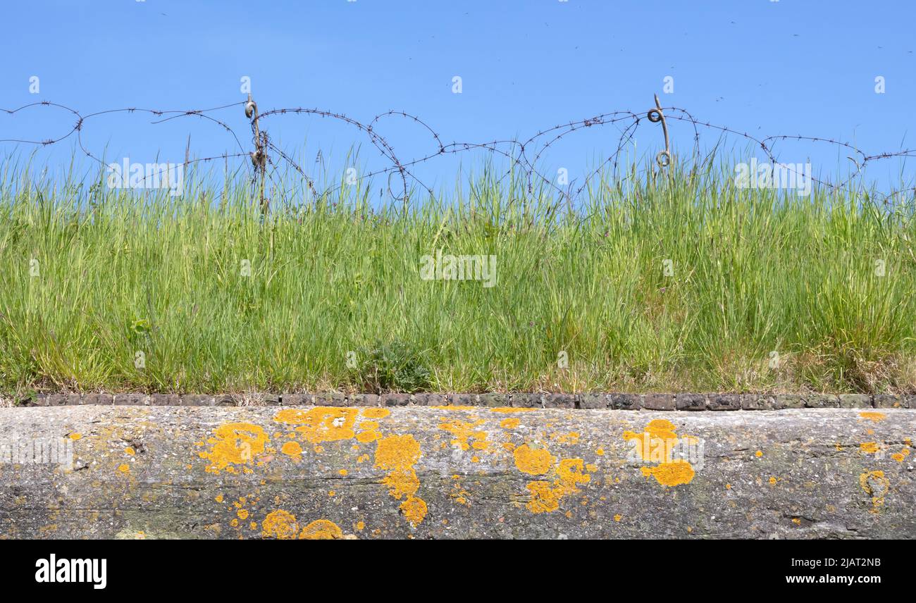 An old bunker from WW2, used by the dutch and the germans Stock Photo ...