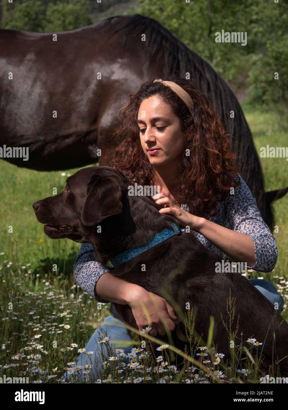 Female with her chocolate labrador retriever in the mountains in spring ...