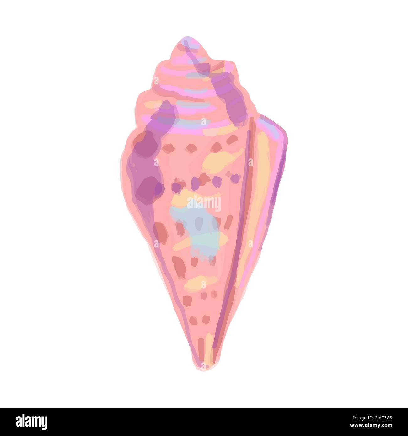 Vector Beautiful pink shell painted in watercolor. Summer beach ...