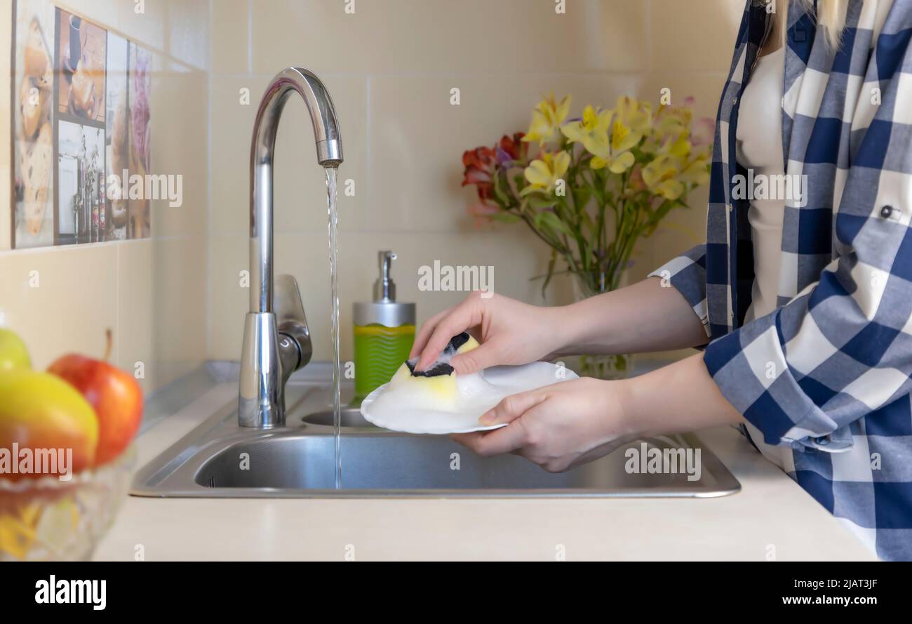 Women's hands wash a white plate with a sponge under running water in ...