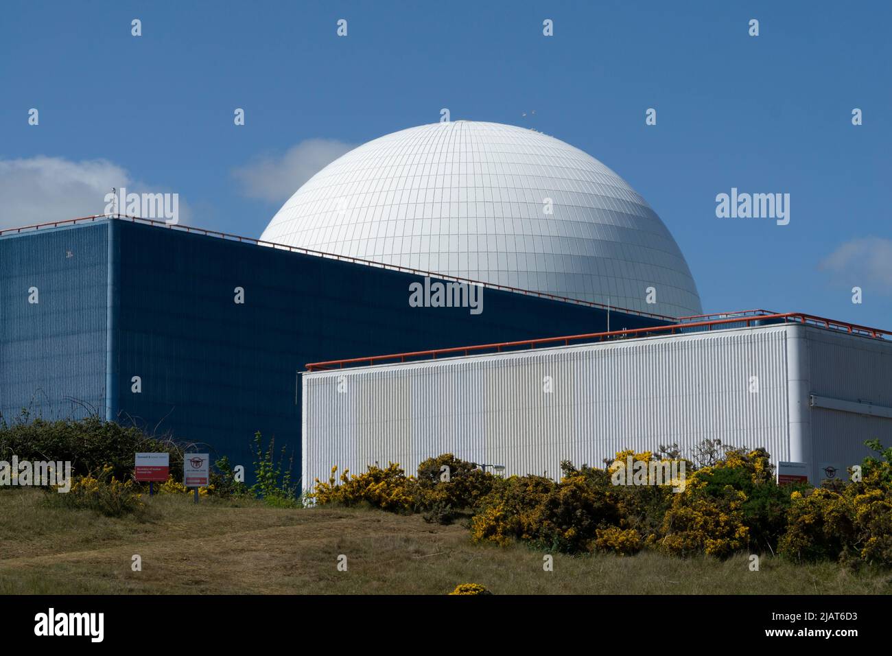 White nuclear dome sizewell b nuclear reactor blue sky yellow gorse ...