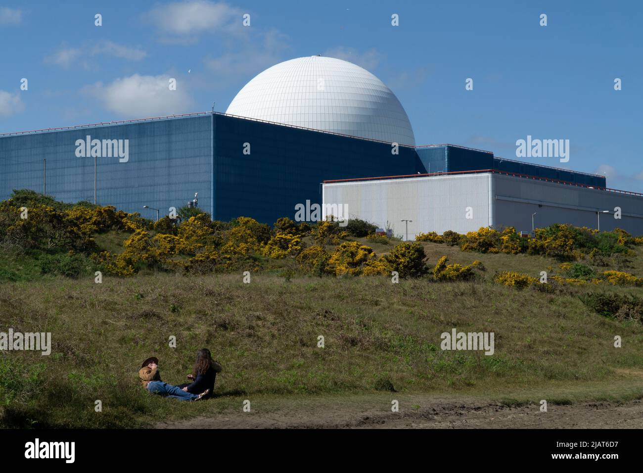 White nuclear dome sizewell b nuclear reactor blue sky yellow gorse ...