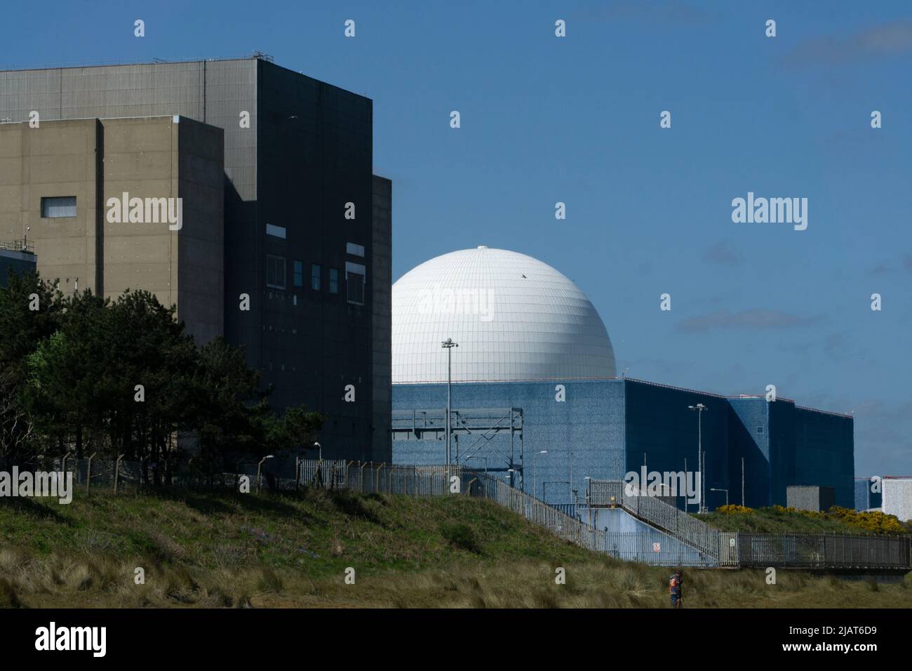 White nuclear dome sizewell b nuclear reactor blue sky yellow gorse ...