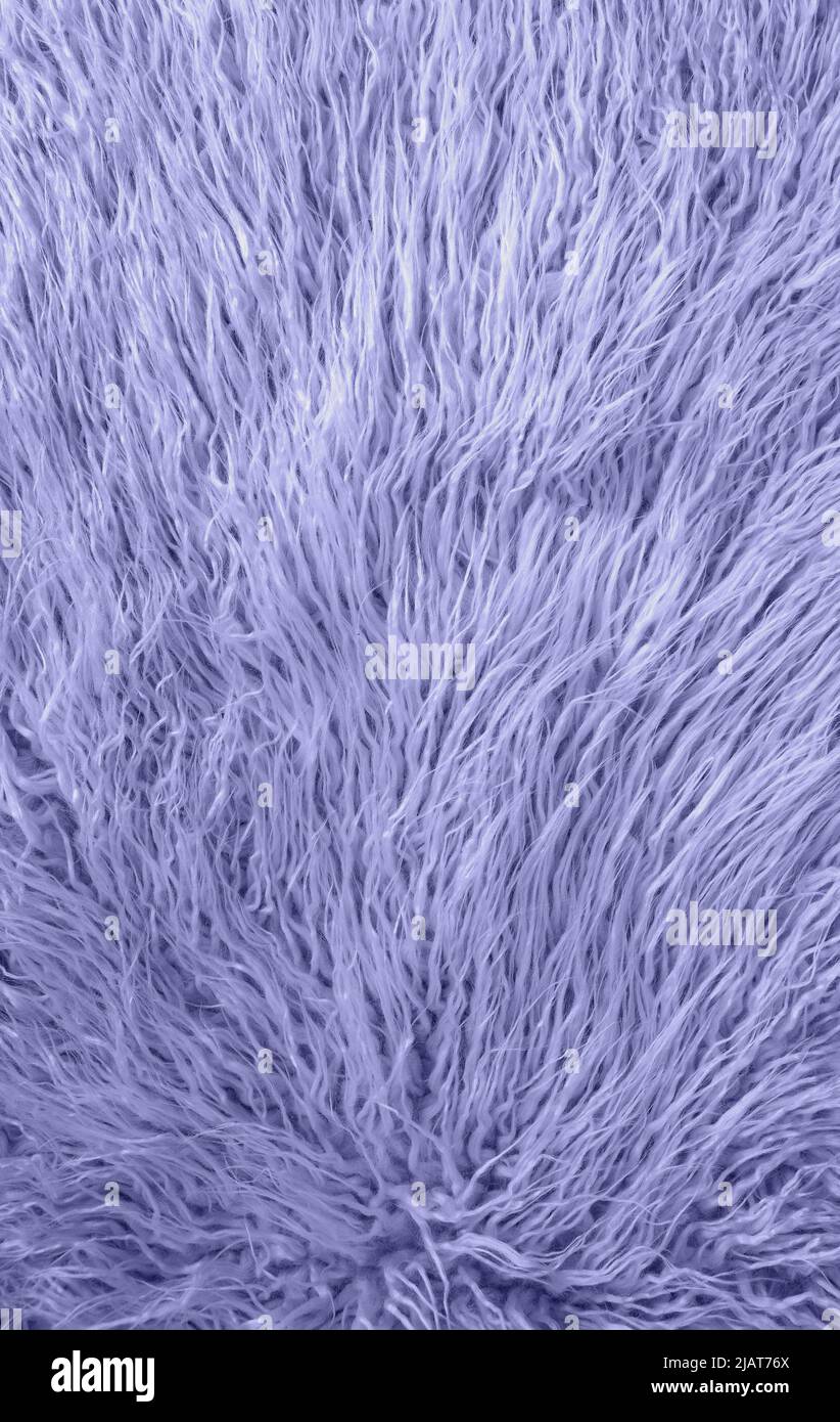 Very peri - color of the year 2022. Fur background in trendy color ...