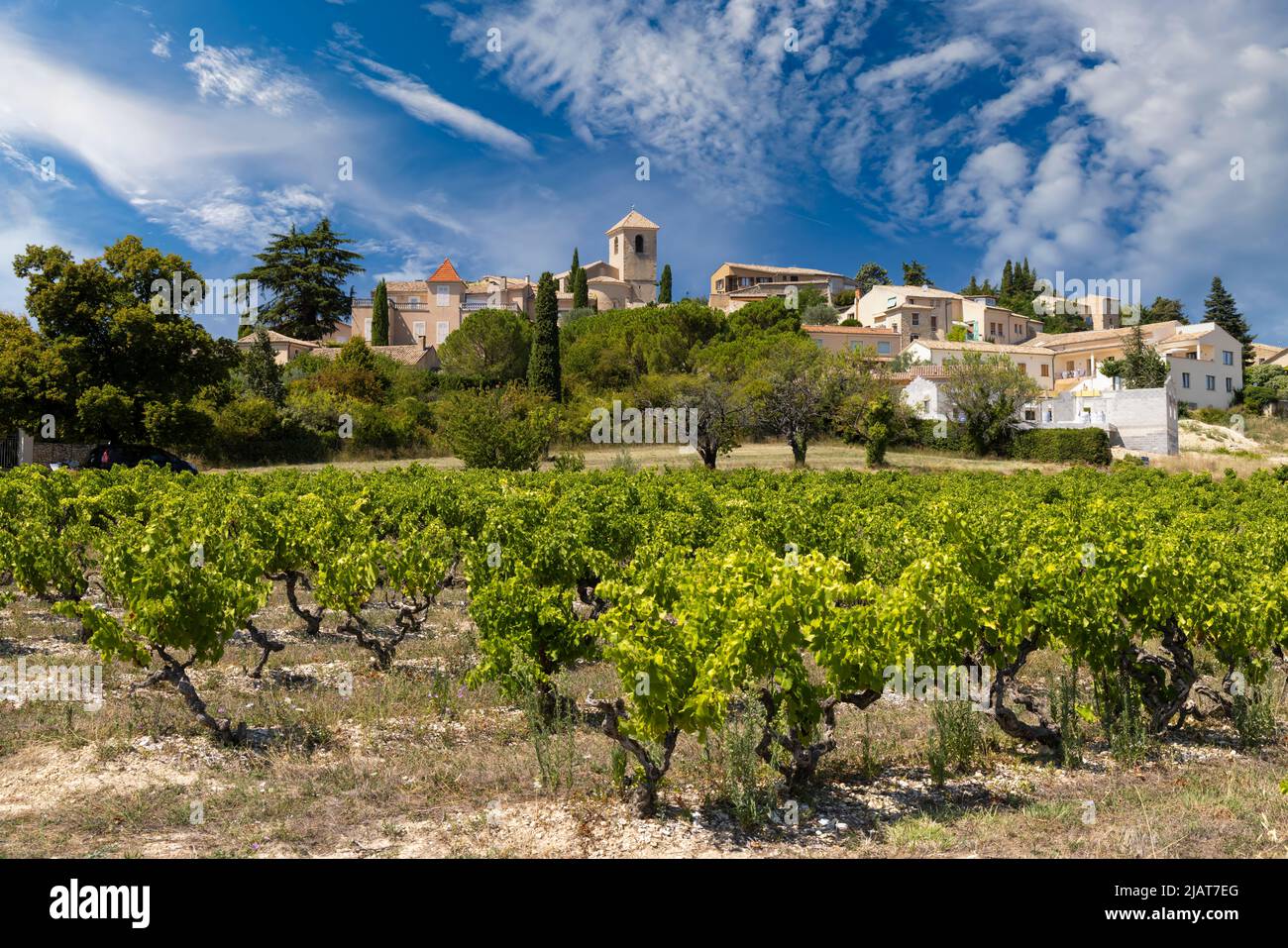 Typical vineyard near Vinsobres, Cotes du Rhone, France Stock Photo - Alamy