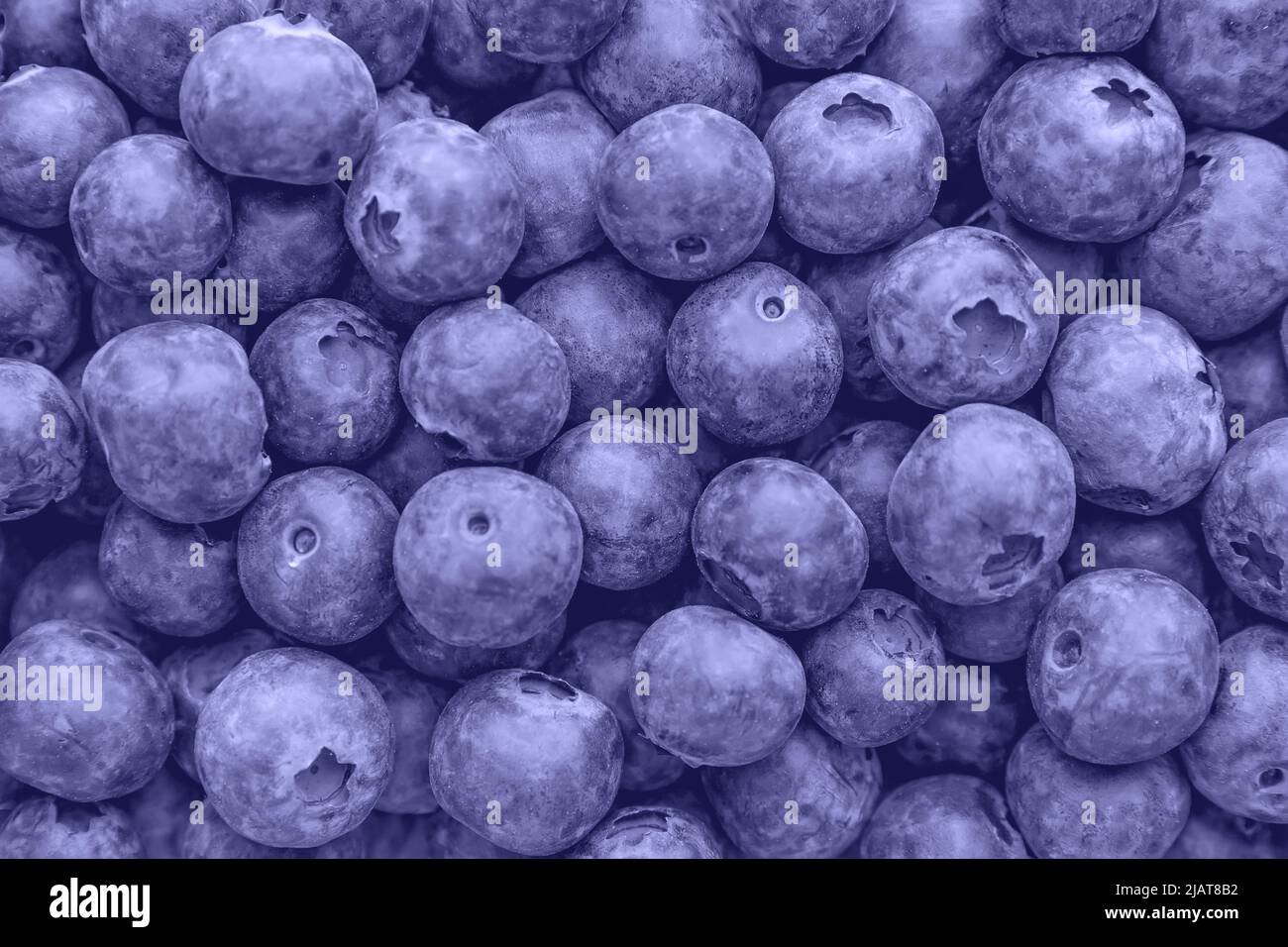 Color violet hi-res stock photography and images - Alamy