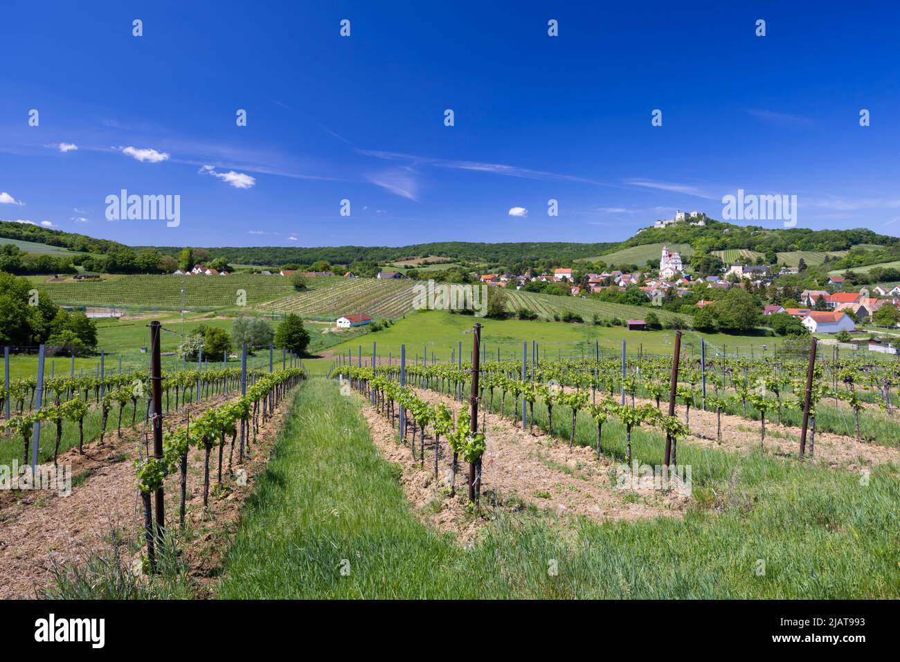 Falkenstein ruins and town with vineyard, Lower Austria, Austria Stock ...