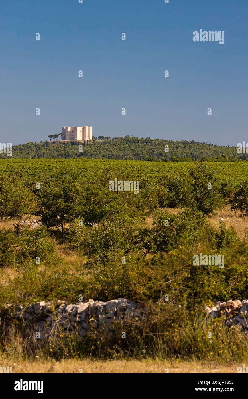 Castel del Monte, castle built in an octagonal shape by the Holy Roman ...