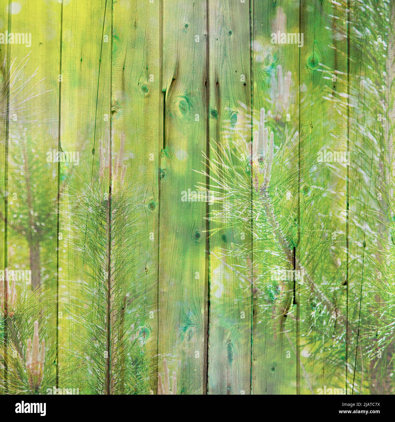 Rustic spring scratched old plank texture in green color Stock Photo ...