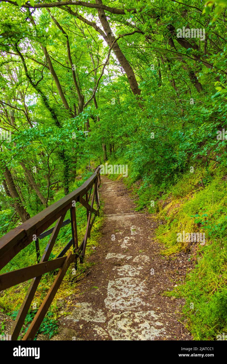 steep path in the forest,Galata cape,Varna,Bulgaria Stock Photo - Alamy