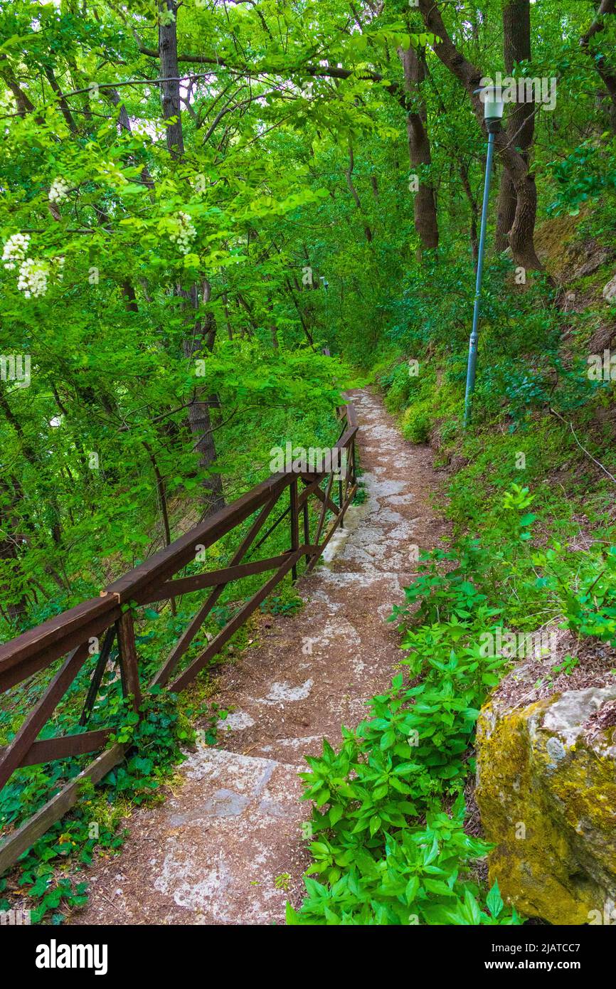 steep path in the forest,Galata cape,Varna,Bulgaria Stock Photo - Alamy
