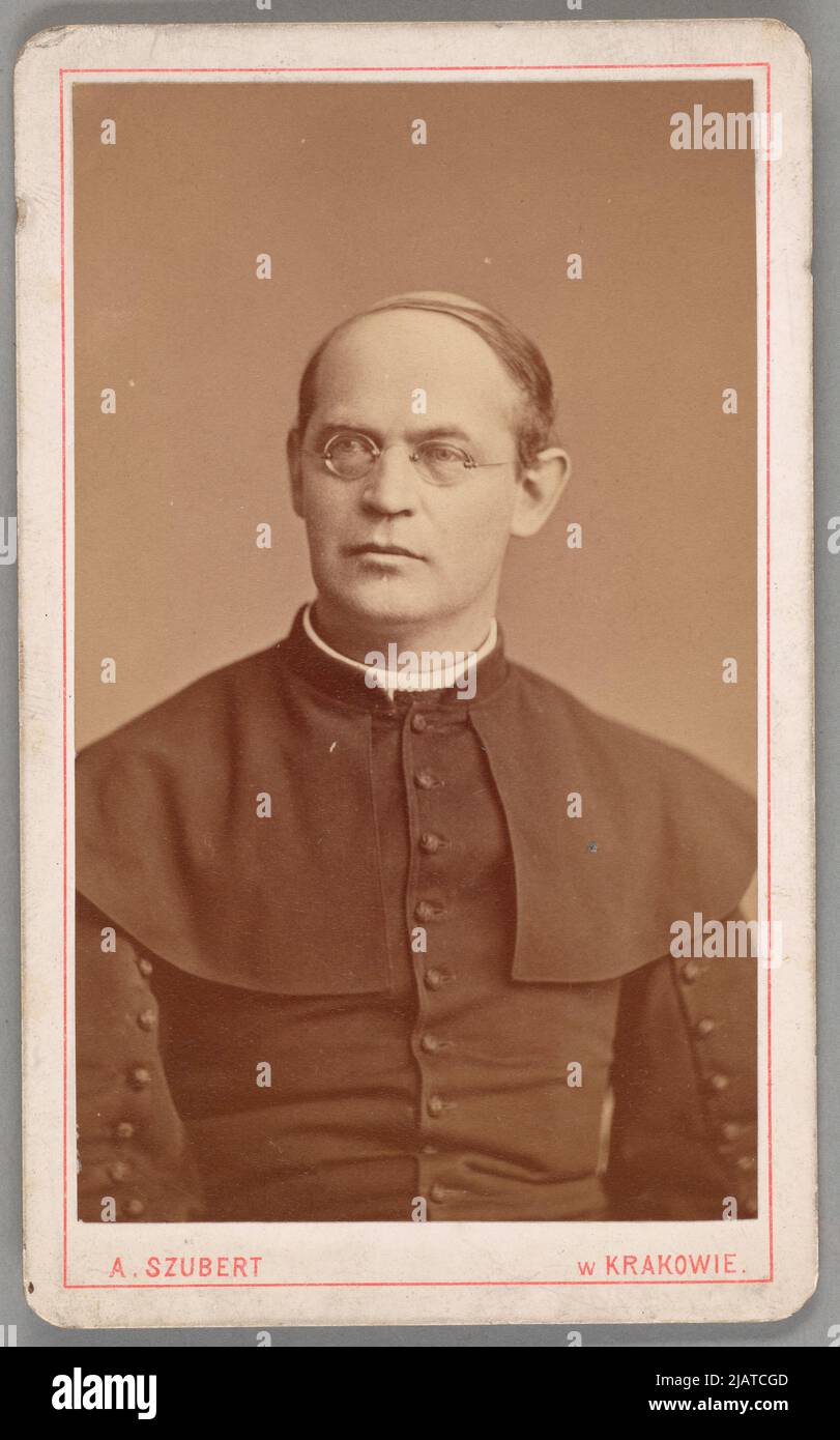 Bliżej Kultury Szubert, Avit Senior (1837 1919 Stock Photo - Alamy