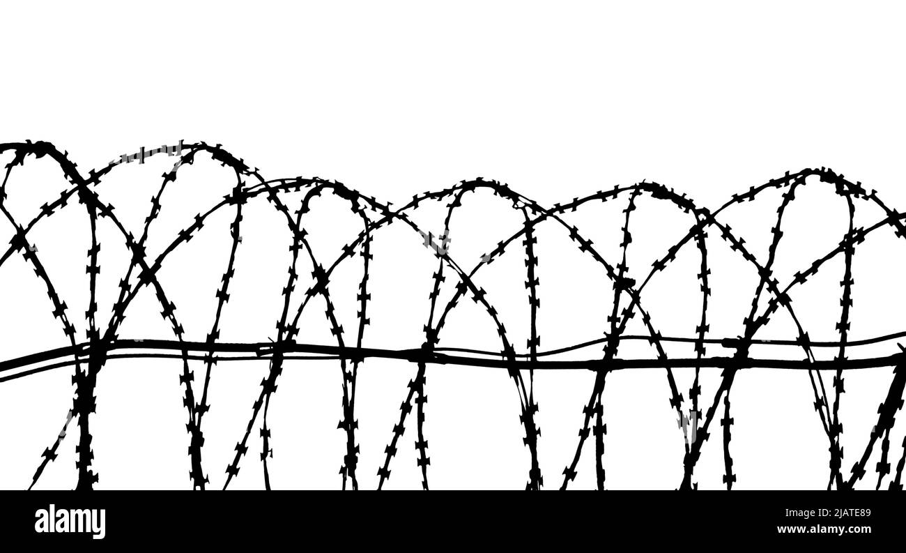 Сontour of barbed wire on a white background Stock Photo - Alamy