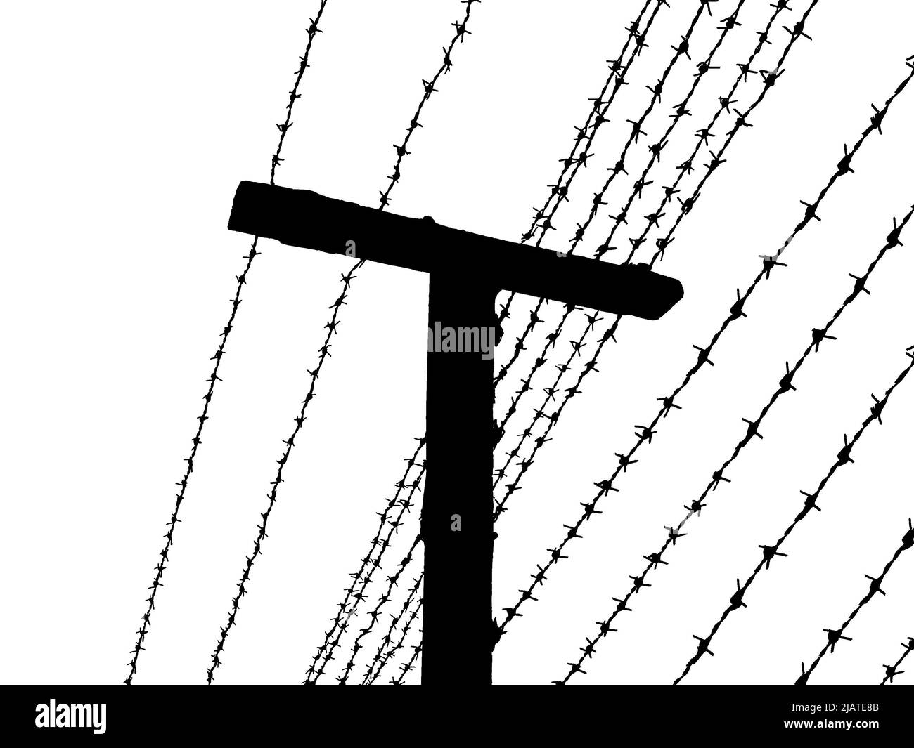 Сontour of barbed wire on a white background Stock Photo - Alamy