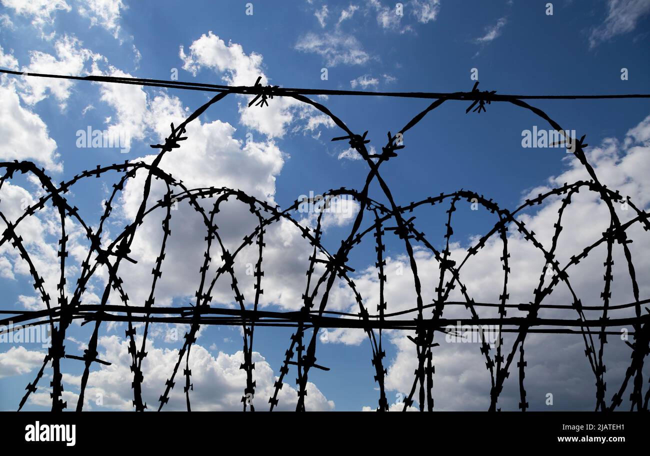 Сontour of barbed wire on background beautiful clouds and sky Stock ...