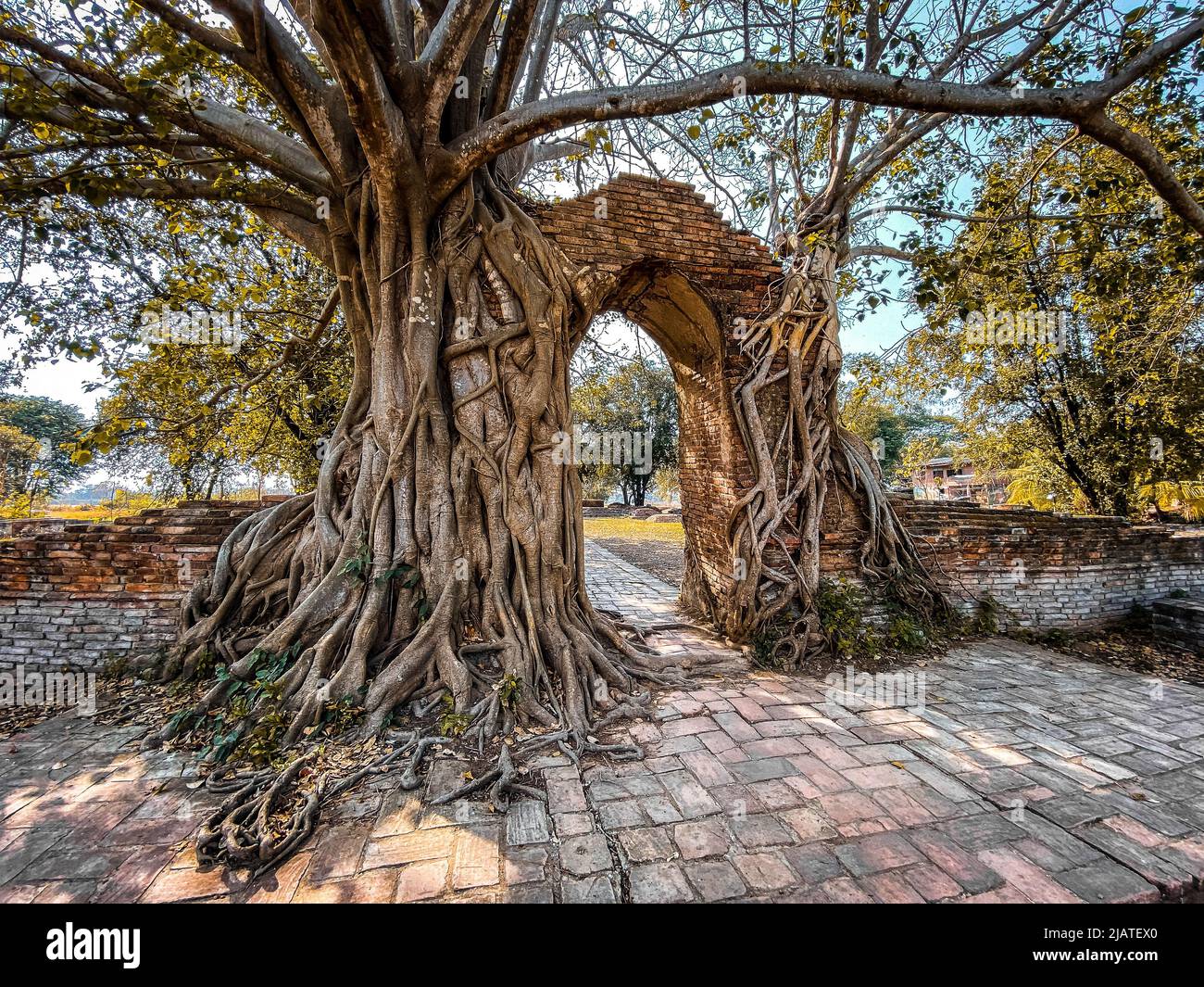 Ancient ruin door ayutthaya hi-res stock photography and images - Alamy