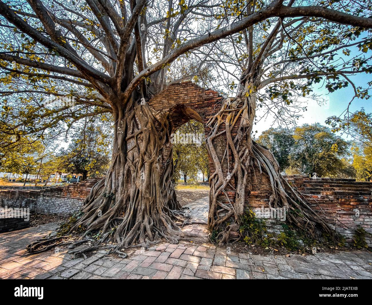 Ancient ruin door ayutthaya hi-res stock photography and images - Alamy