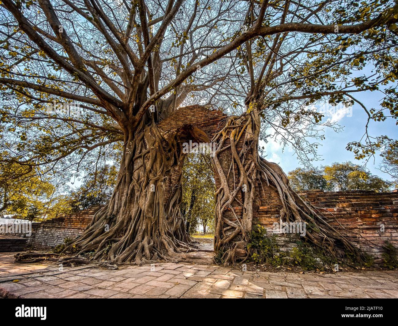Gate time wat phra ngam hi-res stock photography and images - Alamy