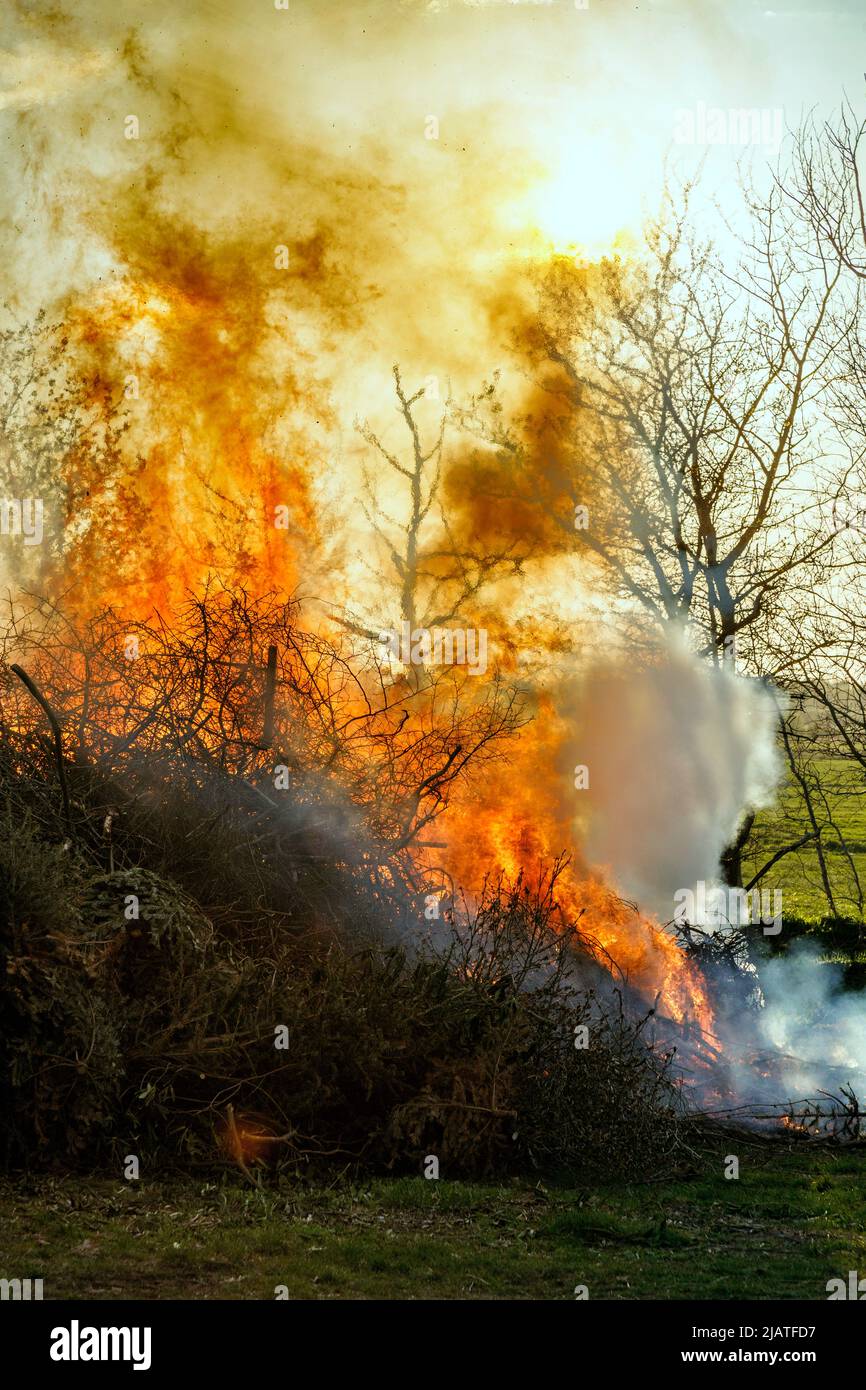 Camp fire smoke with trees hi-res stock photography and images - Alamy