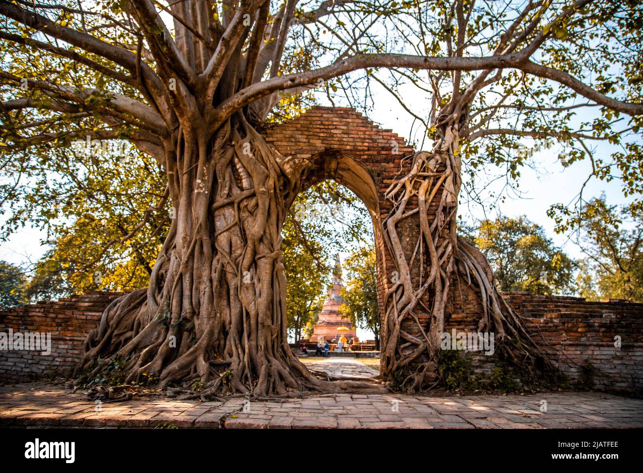Ancient ruin door ayutthaya hi-res stock photography and images - Alamy
