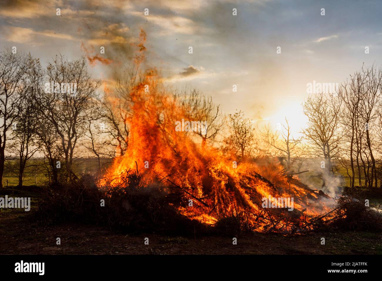 Camp fire smoke with trees hi-res stock photography and images - Alamy