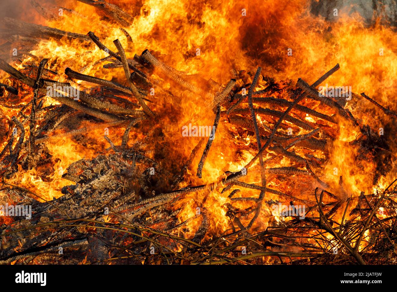 Forest fire from heat hi-res stock photography and images - Alamy