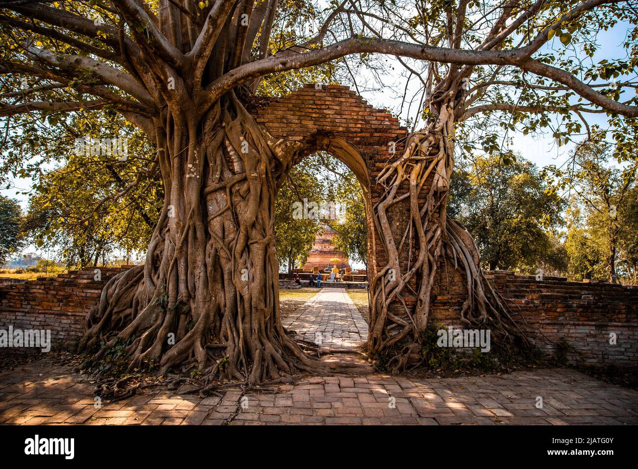Wat Phra Ngam ruin temple in Ayutthaya, Thailand Stock Photo - Alamy
