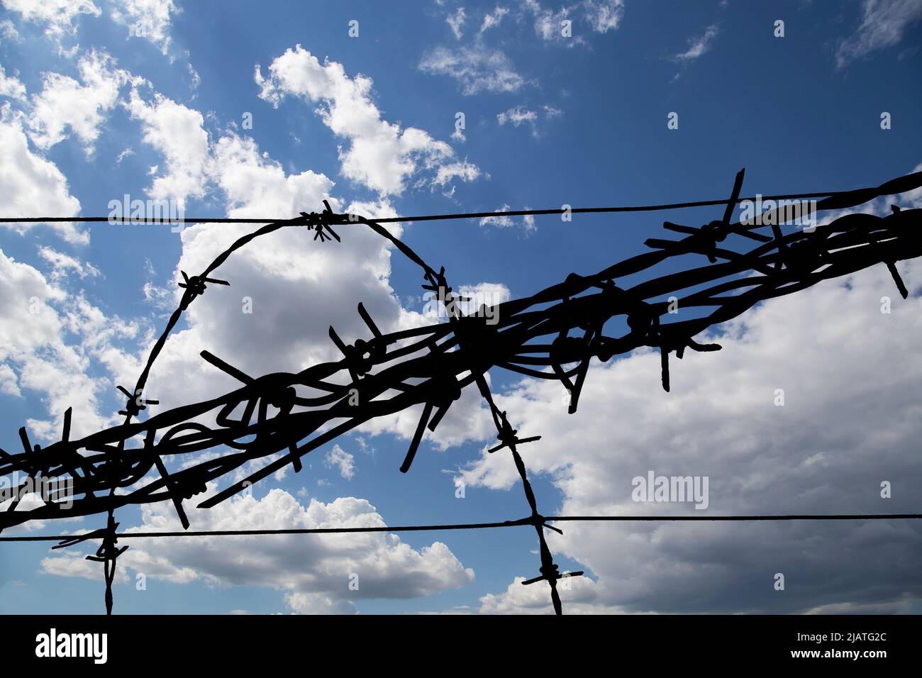 Сontour of barbed wire on background beautiful clouds and sky Stock ...