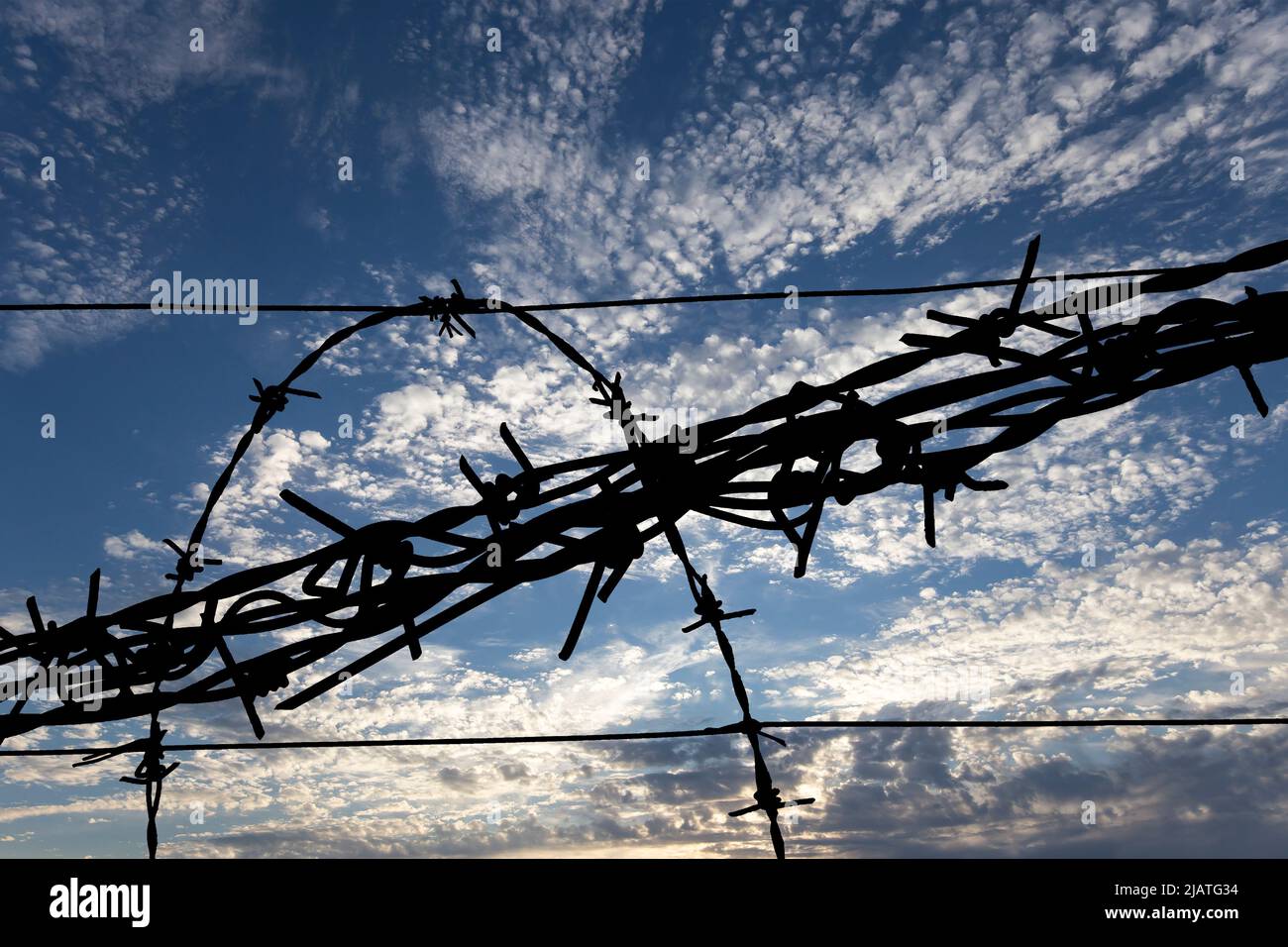 Сontour of barbed wire on background beautiful clouds and sky Stock ...