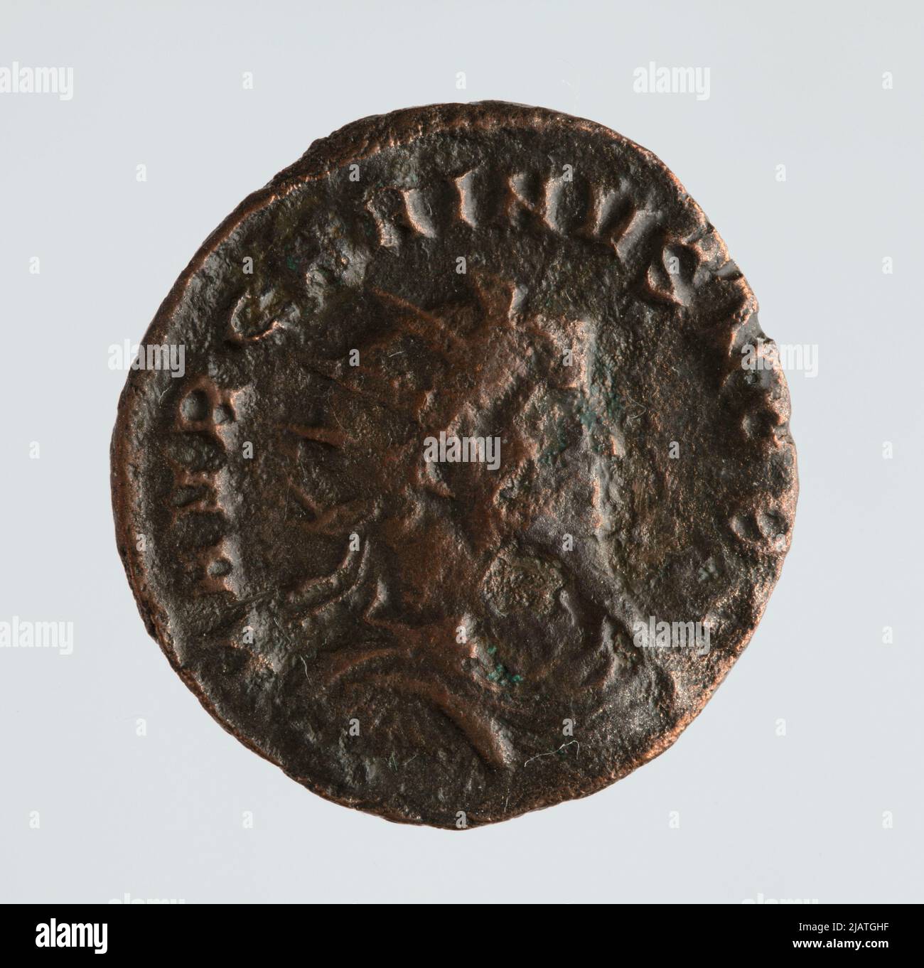 Carinus hi-res stock photography and images - Alamy