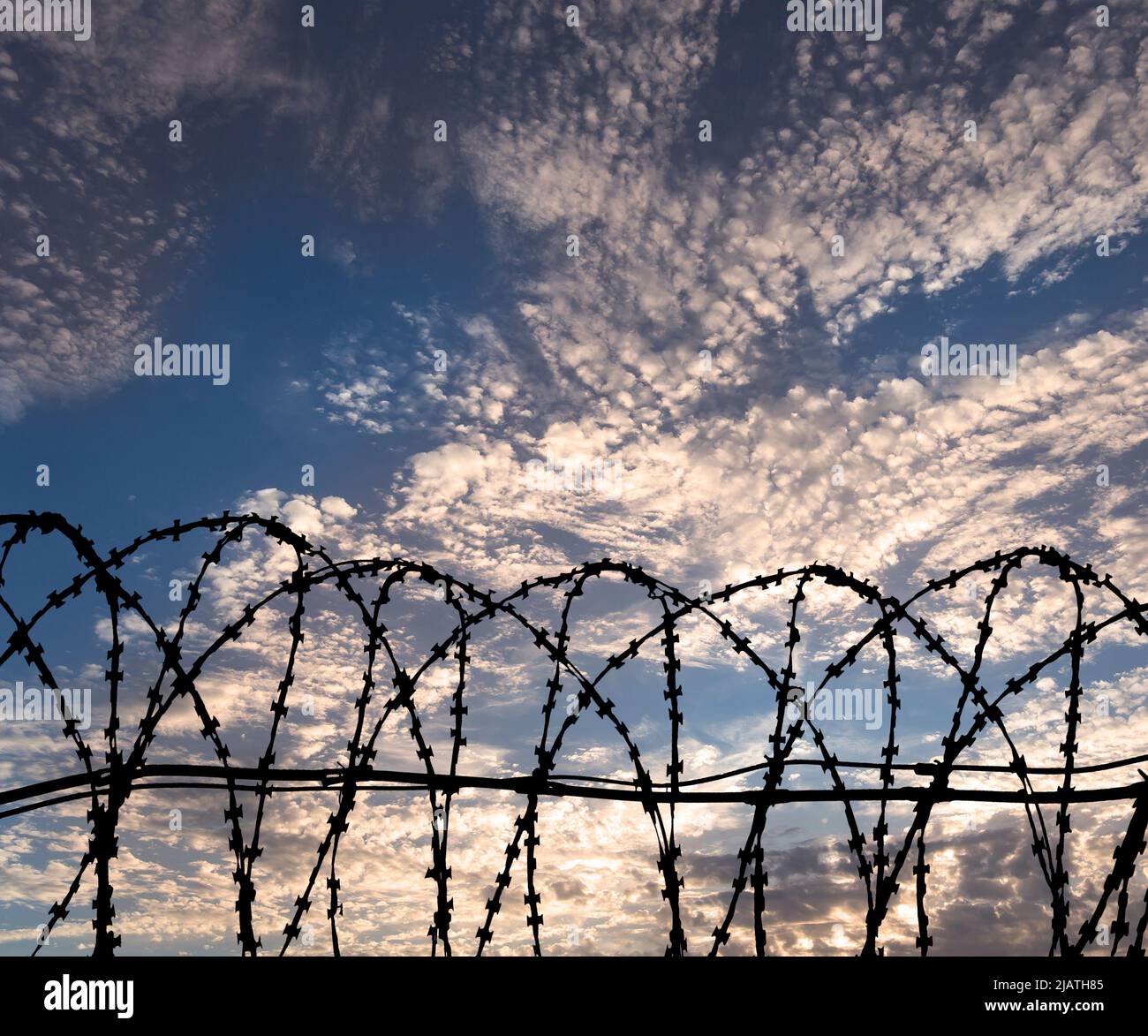 Сontour of barbed wire on background beautiful clouds and sky Stock ...