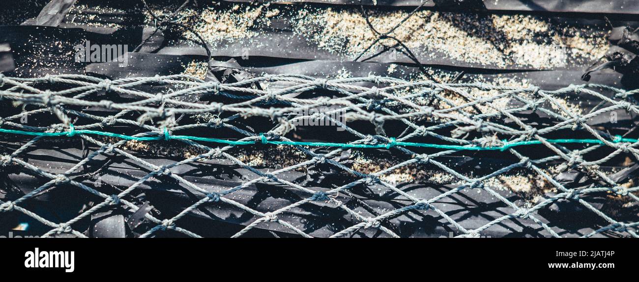 BANNER abstract close-up macro real photo beautiful wallpaper ...